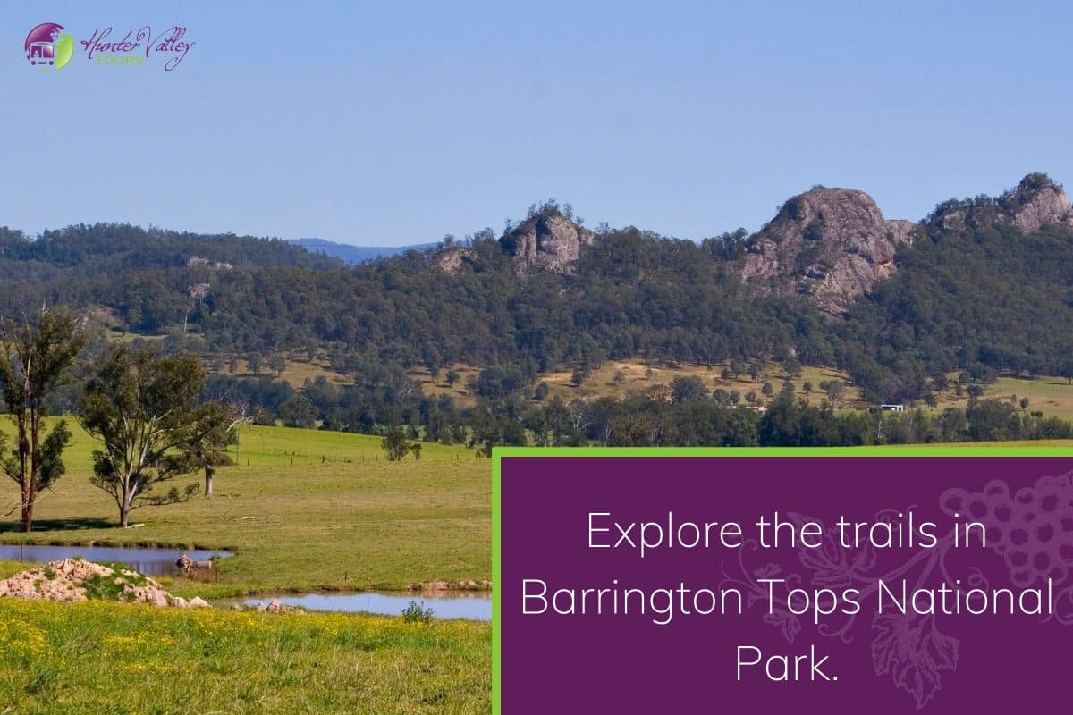 Top Things to Do in Hunter Valley | Best Activities Guide
