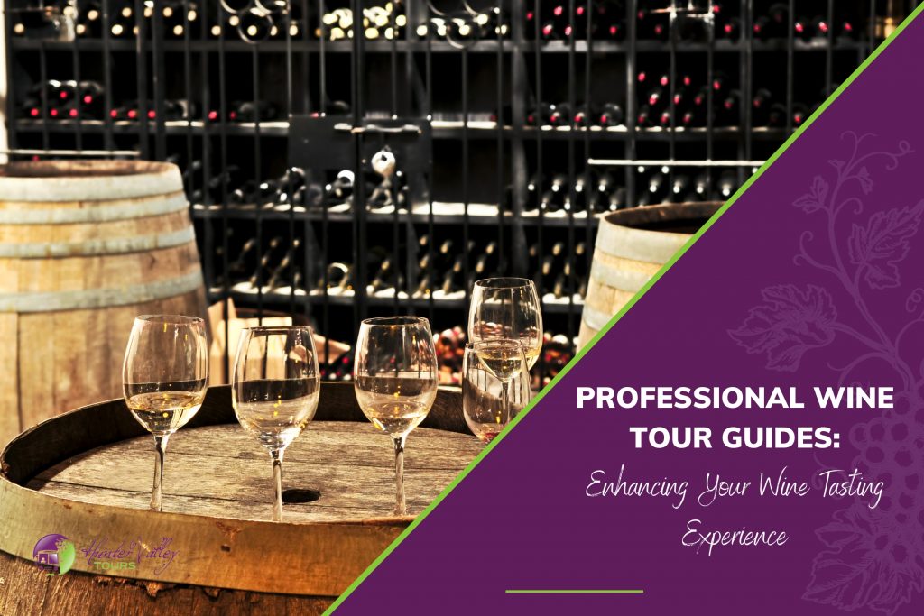 Professional Wine Tour Guides - Hunter Valley Tours
