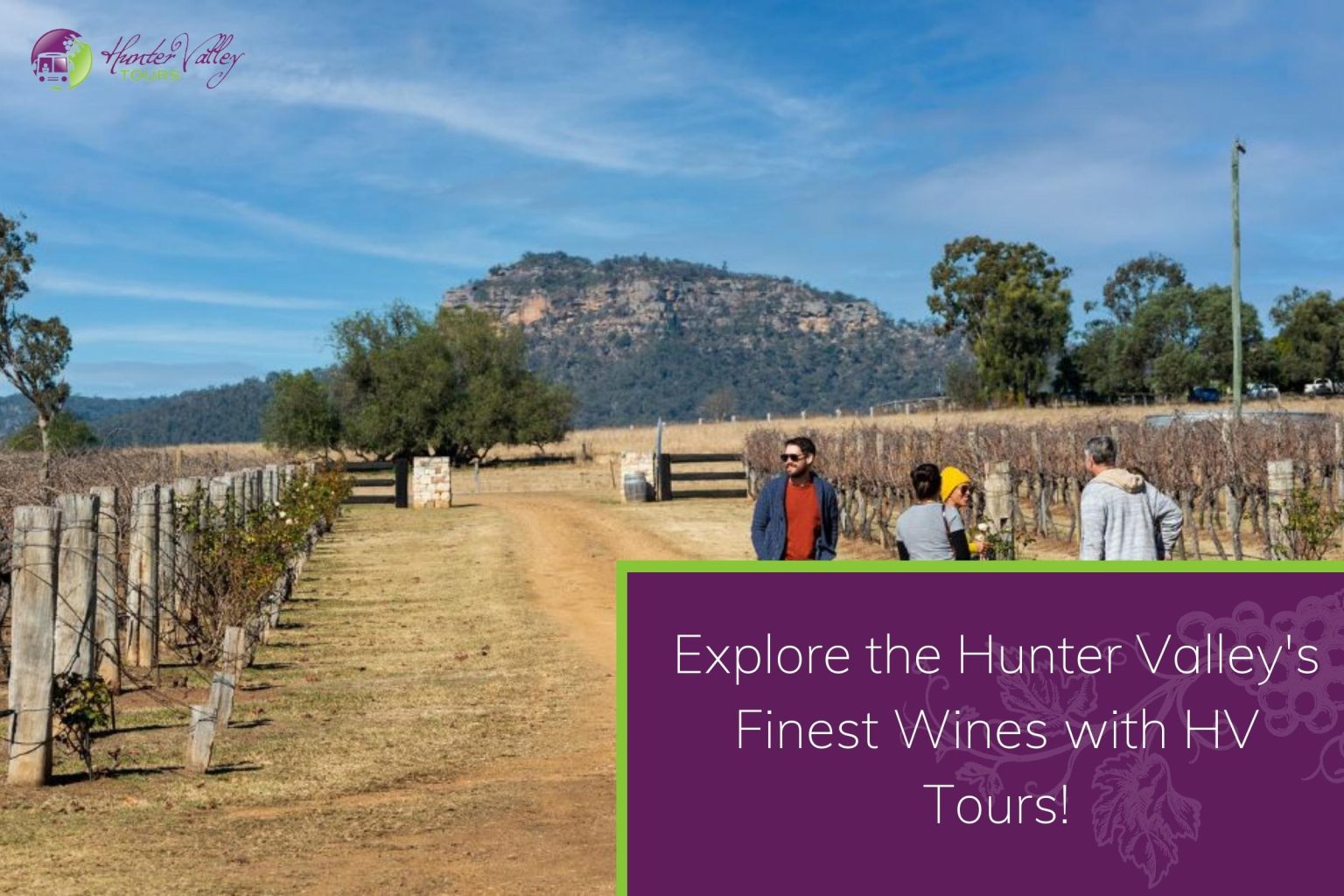 Biking Trails in Hunter Valley: Best Cycling Routes Guide
