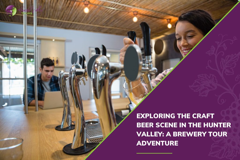 Craft Beer Hunter Valley | HV Tours