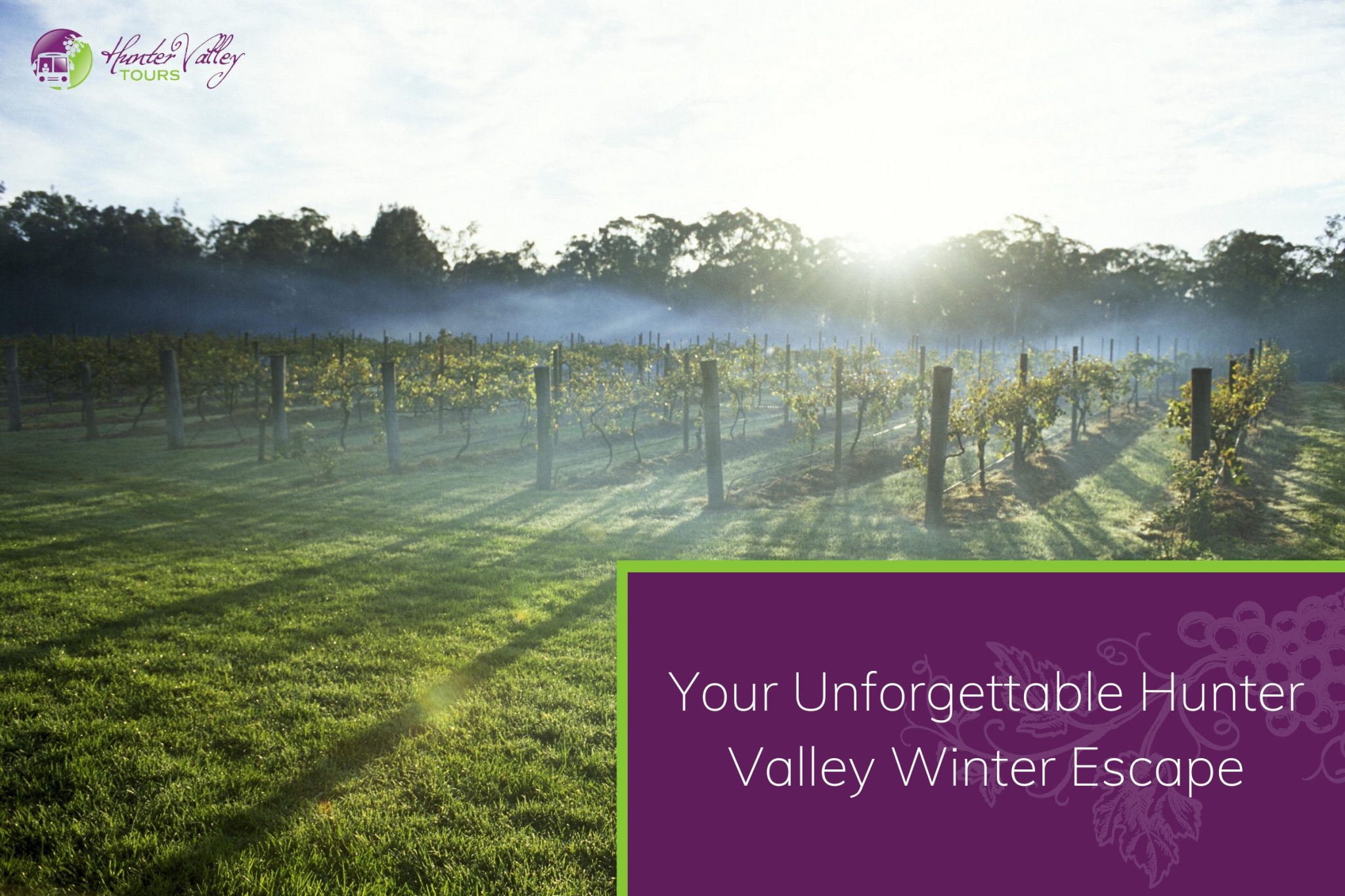 Hunter Valley Winter Events 2025: Wine, Fun & More!